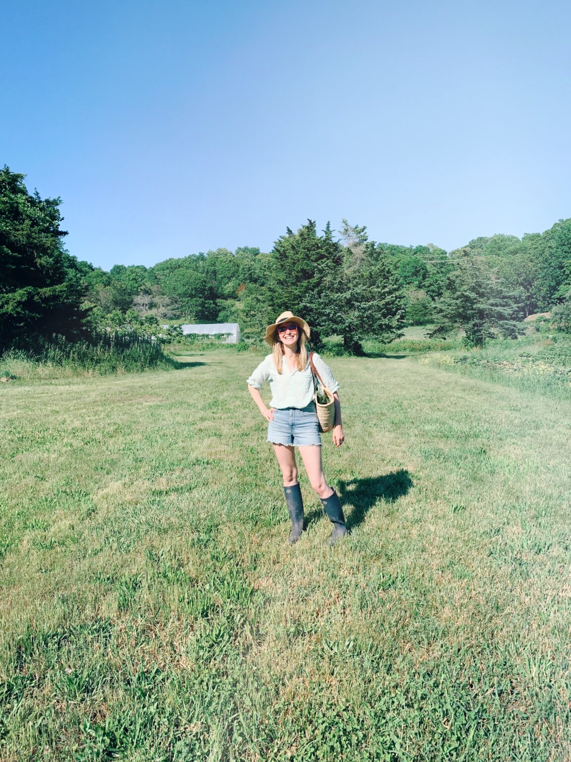 nature Archives - The Aesthetics of Joy